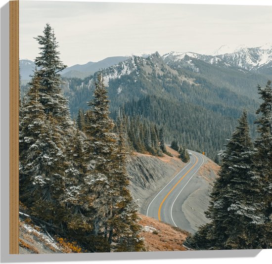 WallClassics - Hout - Hoge Bomen bij Weg in de Bergen - 50x50 cm - 12 ...