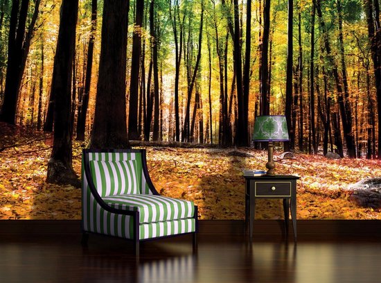 Fotobehangkoning - Fotobehang - Vliesbehang - Behang - Bos - Bladeren ...