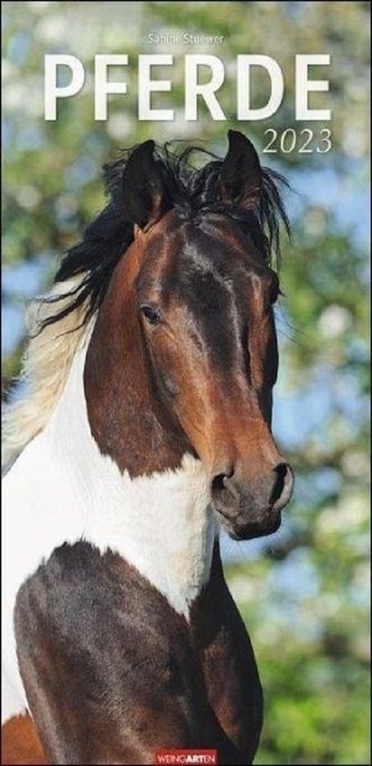 Stuewer, S: Pferde Kalender 2023 | bol