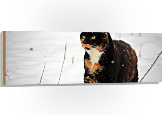 WallClassics - Hout - Zwarte Poes in de Sneeuw - 120x40 cm - 12 mm dik ...