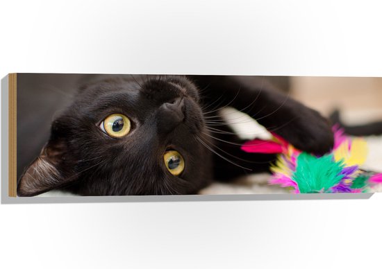 WallClassics - Hout - Spelende Zwarte Poes - 90x30 cm - 12 mm dik ...