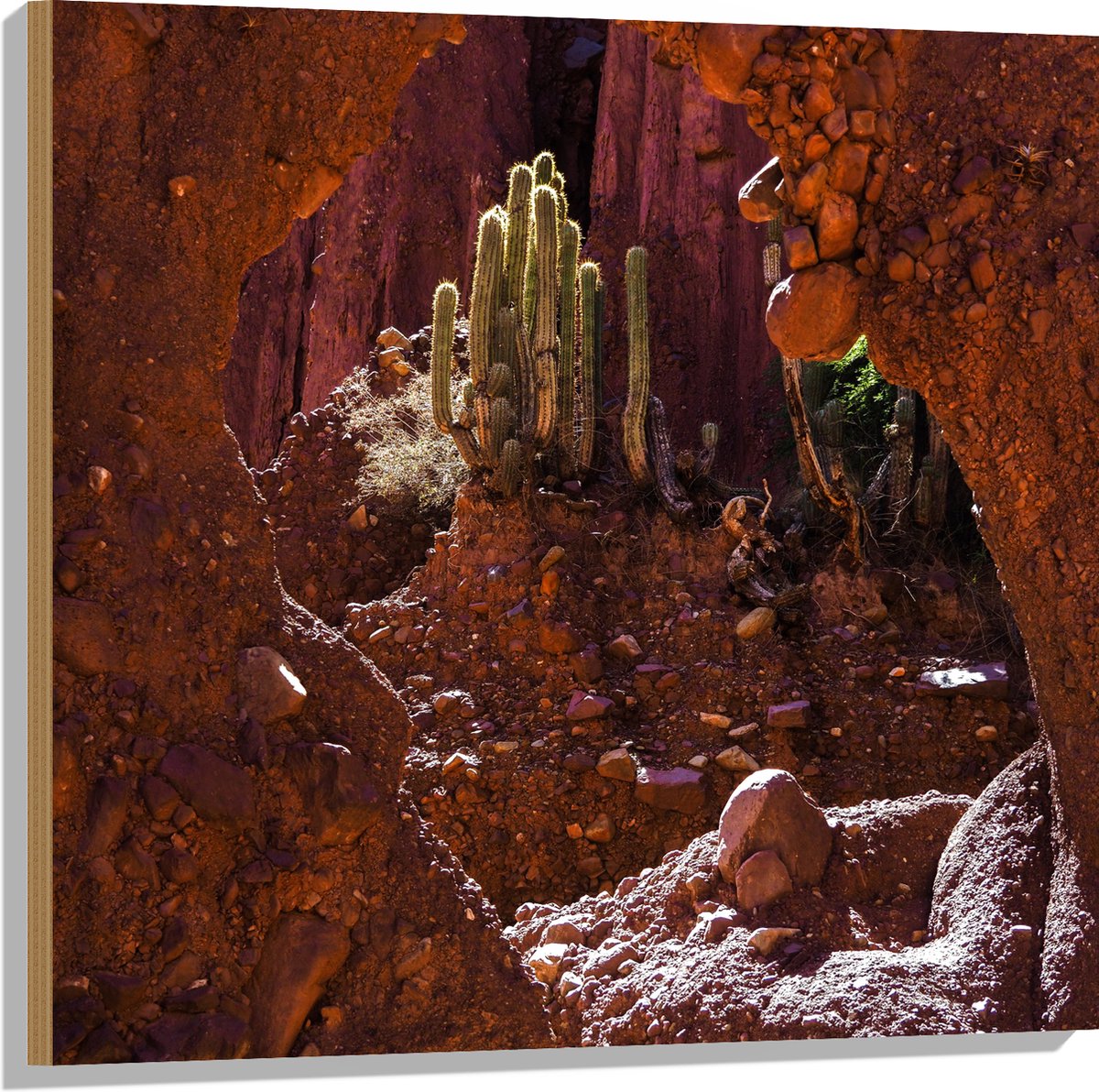 WallClassics - Hout - Oranje Brokkelige Rotsen - 80x80 cm - 12 mm dik ...