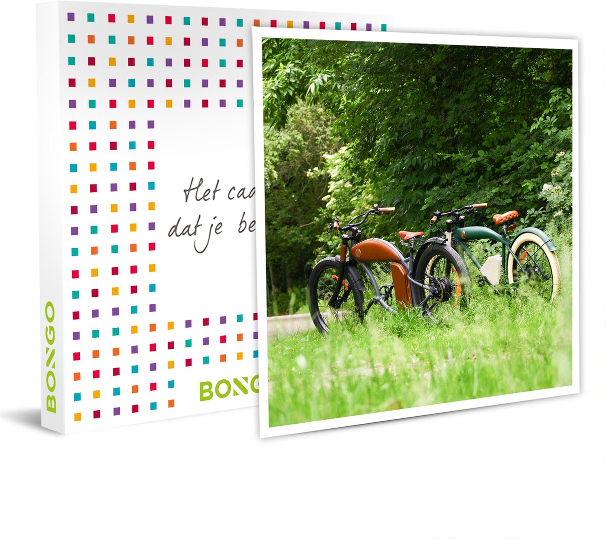 Bongo Bon - DAGTOCHT OP EEN E-BIKE MET ONTBIJT IN HASPENGOUW ...