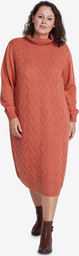 EVIVA - Gebreide jurk met rolkraag - lichtbruin | bol.com