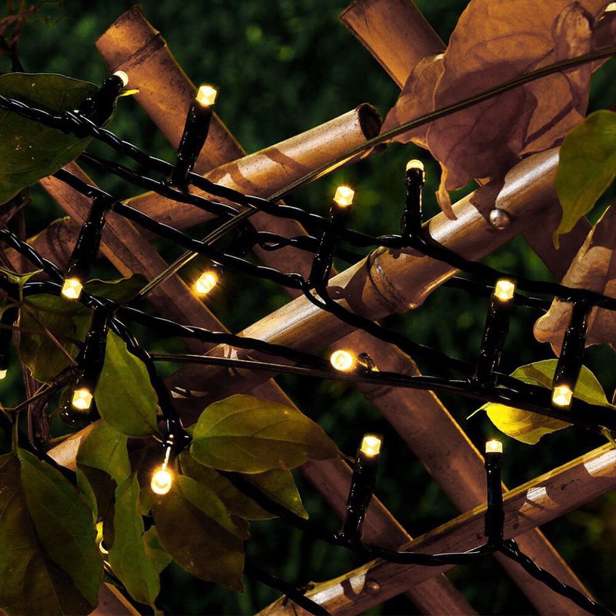 Solar lichtsnoer Holly buiten - 100 leds - Warm Wit licht - Op zonne ...