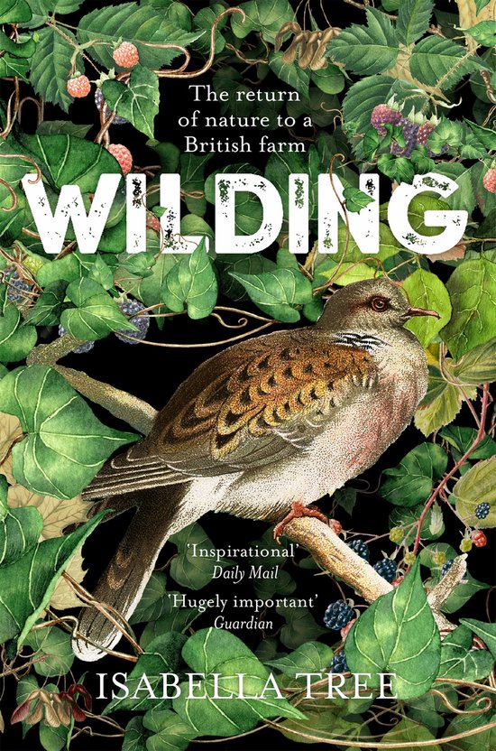 Wilding, Isabella Tree | 9781509805105 | Boeken | bol