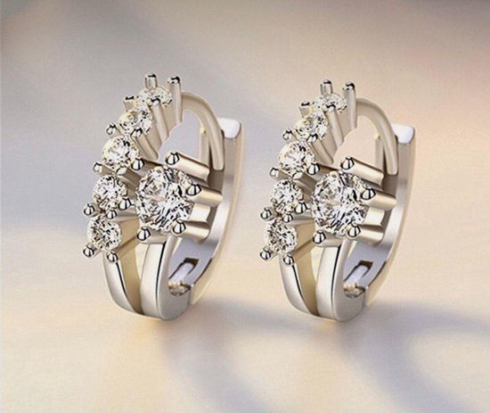 Haymer Sieraden Tria Oorringen Voor Vrouwen Zilver 1 HJ2022065KUP | bol