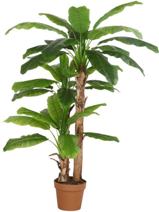 Kunst Bananenboom Musa | 175cm - Namaak Bananenboom - Kunstplanten voor ...