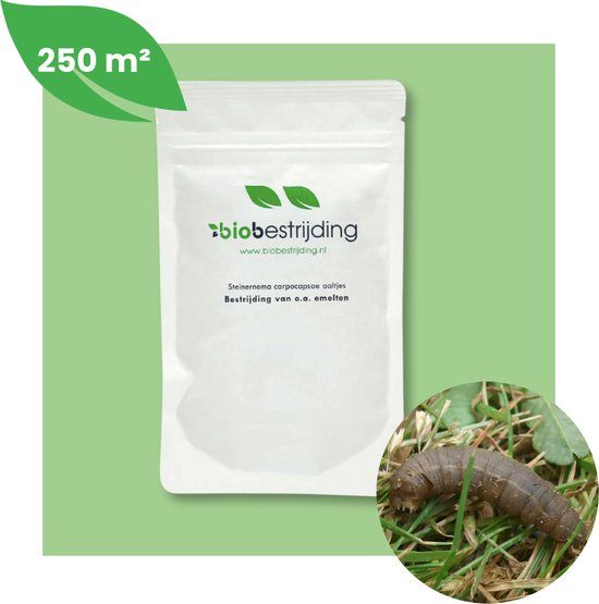 Aaltjes tegen emelten - voor circa 250m² - Steinernema carpocapsae ...
