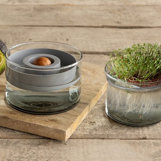 Esschert Design Avocadokiemset - Gerecycled glas - Voor avocado ...