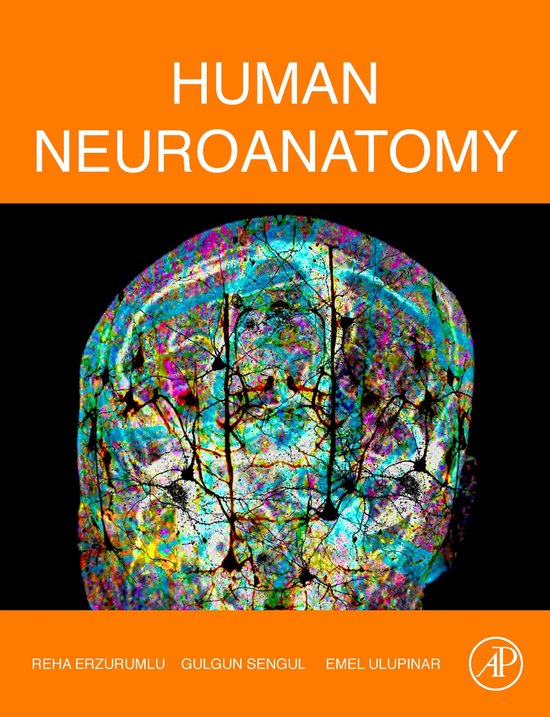 Human Neuroanatomy, Reha Erzurumlu | 9780323997256 | Boeken | bol