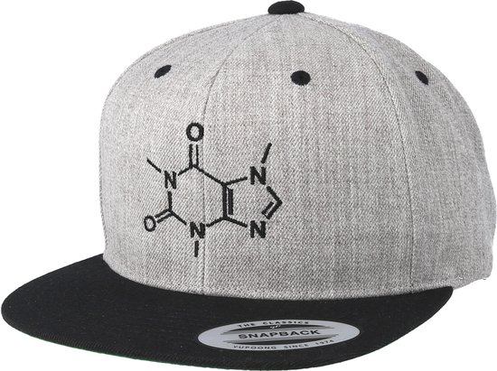Hatstore- Caffeine Molecule Grey/Black Snapback - Iconic Cap | bol