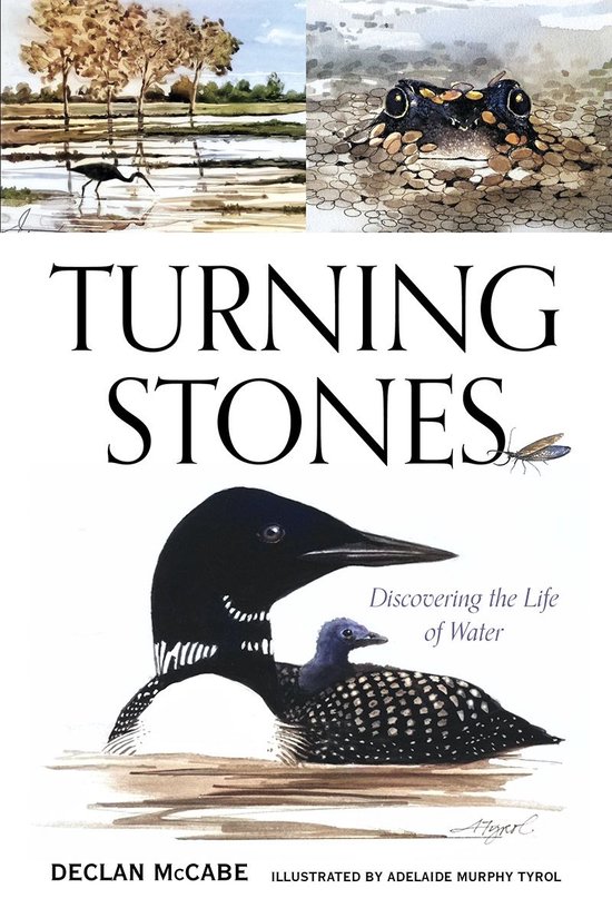 Turning Stones (ebook), Declan Mccabe | 9781684751846 | Boeken | bol