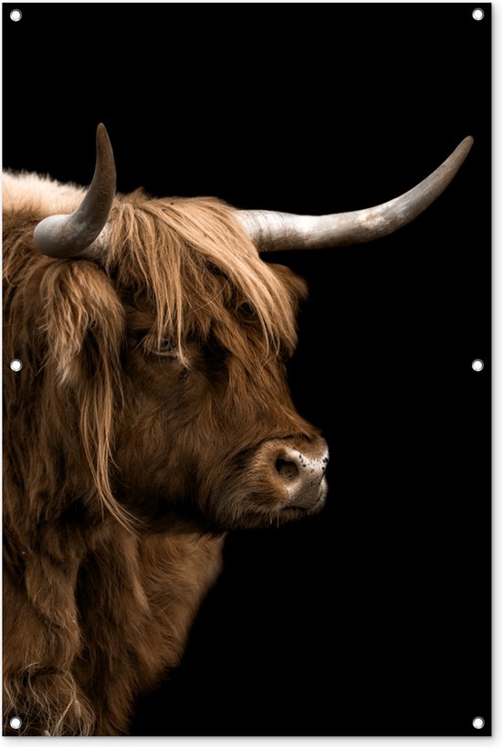 Tuinposter - Tuindoek - Tuinposters buiten - Schotse hooglander - Vacht ...