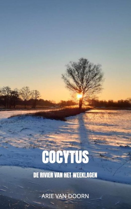Cocytus, Arie van Doorn | 9789464922141 | Boeken | bol