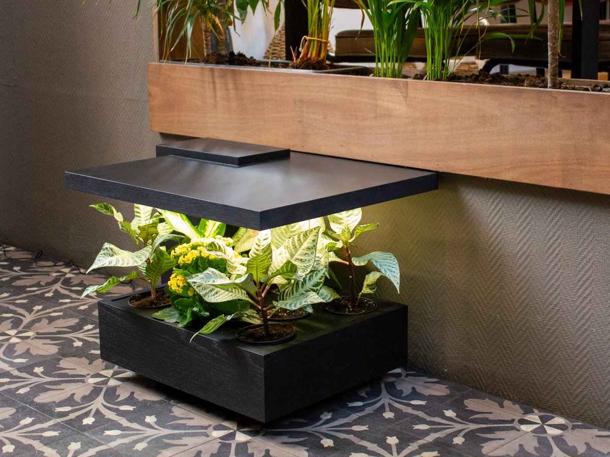 Pluk One Vege-Table - Zwart | De ultieme indoor gardening ervaring ...
