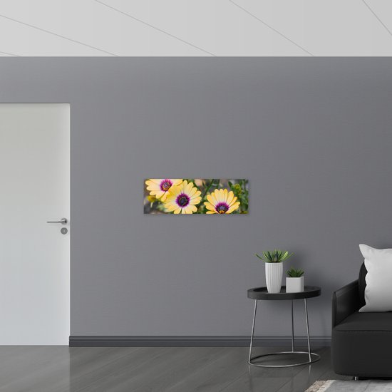 Vlag - Gele Spaanse Margriet Bloemen met Paarse Binnenkant - 90x30 cm ...