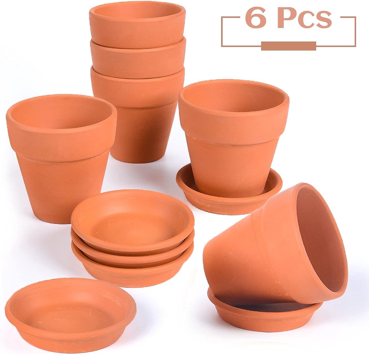 Lot de 6 Mini pots en terre cuite pour plantes grasses avec soucoupes 8 ...