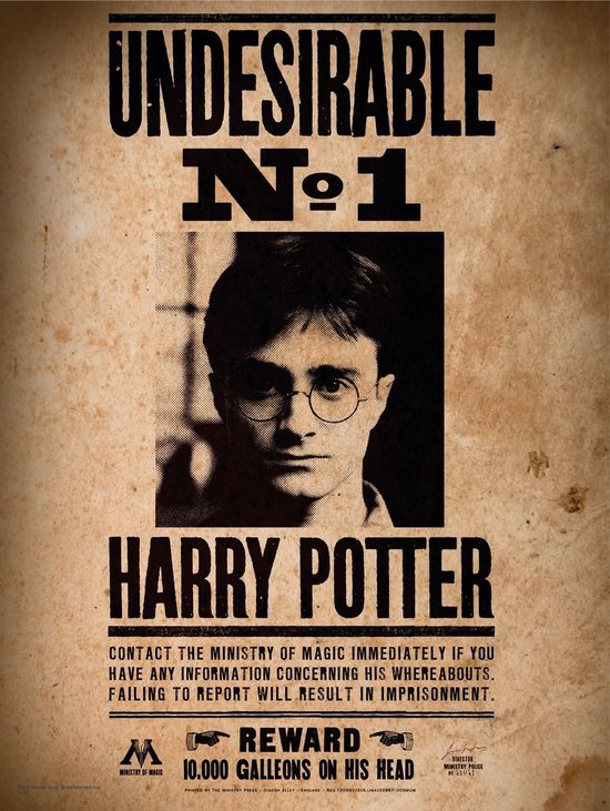 Harry Potter: Undesirable No. 1 30 x 40 cm Glass Poster | bol