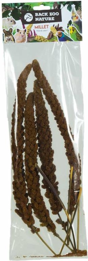 Back Zoo Nature French Millet Sprays Red | bol