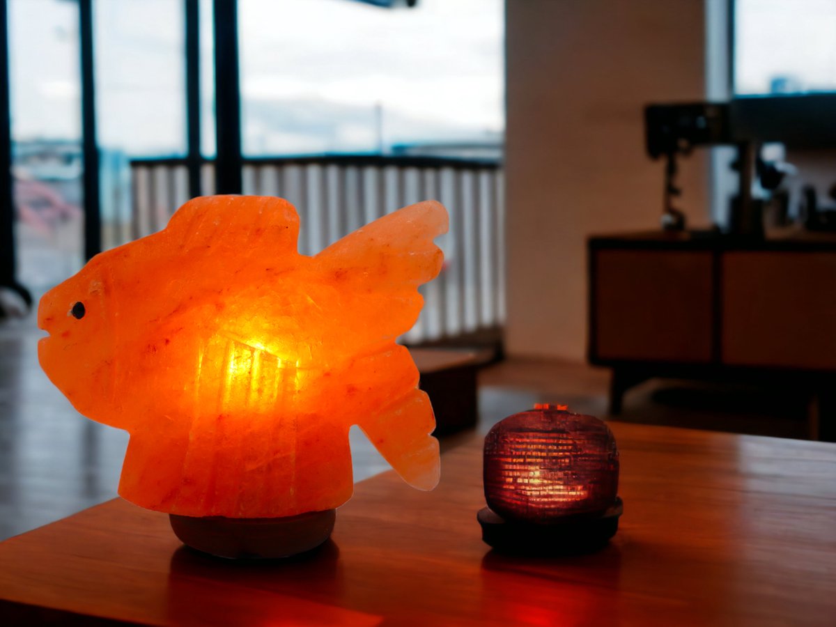 Himalaya Zoutlamp - Vis LAMP - Fish Lamp - Vis - Visje - Fish ...