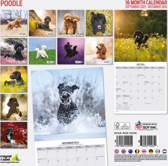 Poedel Kalender 2024 Magnet en Steel | bol