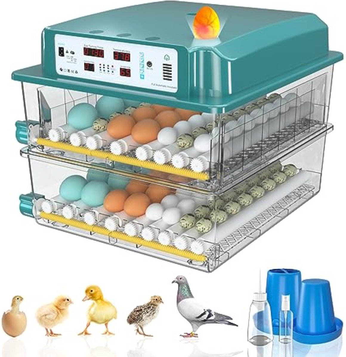 Broedmachine voor eieren - Broedmachine Automatisch - Incubator - Broedmachine Voor Kippen | bol.com