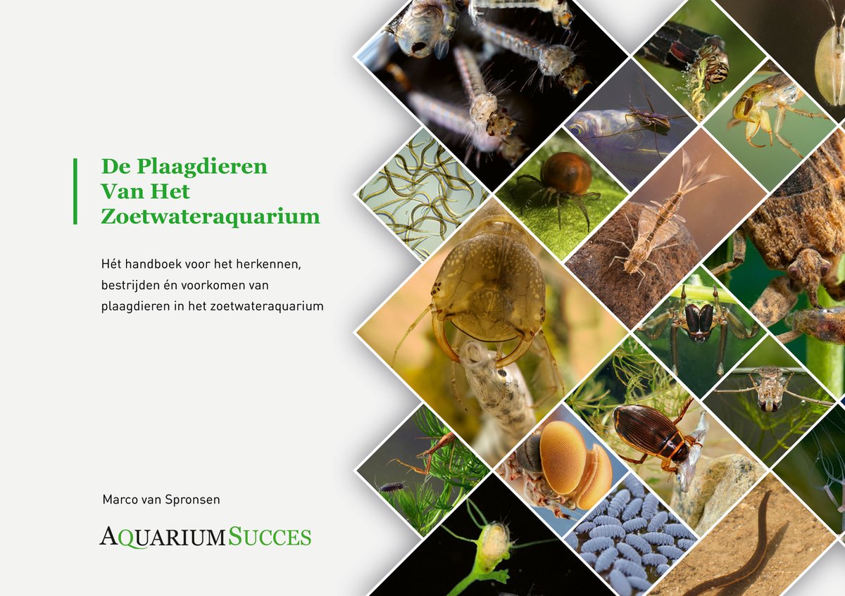 Het Handboek De Plaagdieren Van Het Zoetwateraquarium, Marco van ...