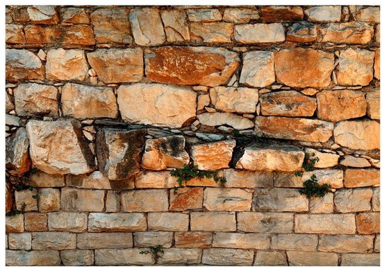 Fotobehangkoning - Behang - Vliesbehang - Fotobehang - Prelude of the ...