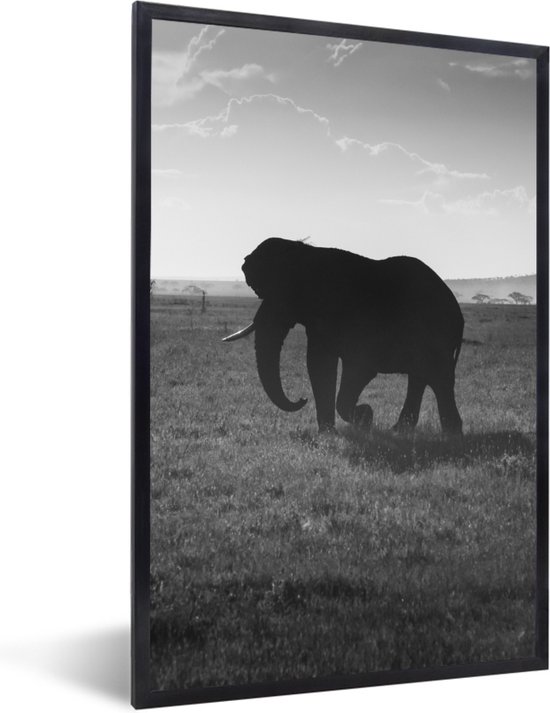 Fotolijst incl. Poster Zwart Wit- Olifant - Vlakte - Dieren - Zwart wit ...