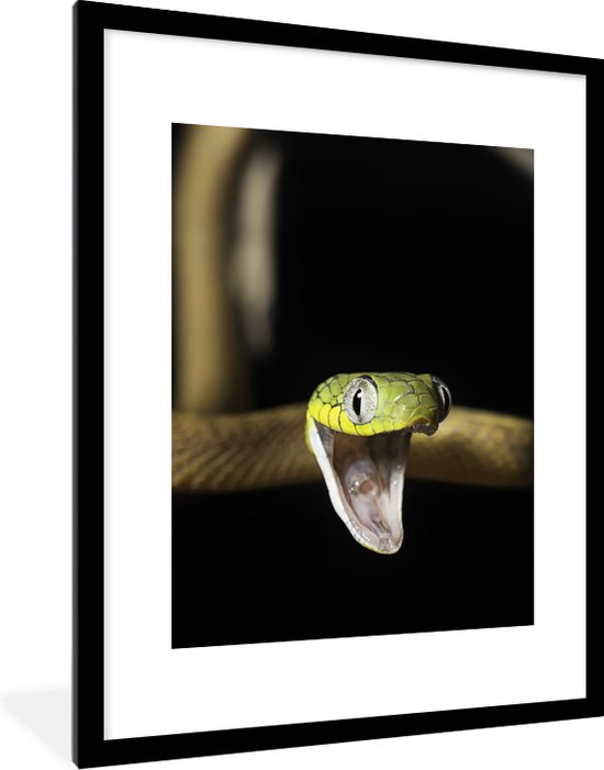 Fotolijst incl. Poster - Slang - Dier - Zwart - 60x80 cm - Posterlijst ...