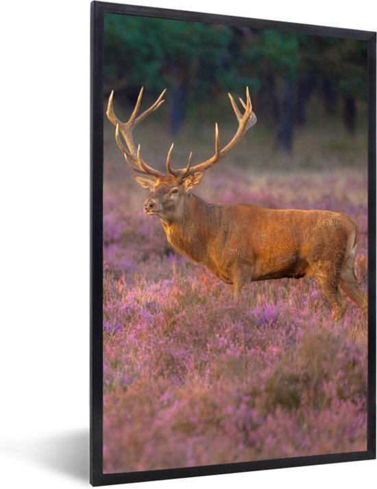 Fotolijst incl. Poster - Hert - Nederland - Bloemen - Veluwe - 40x60 cm ...
