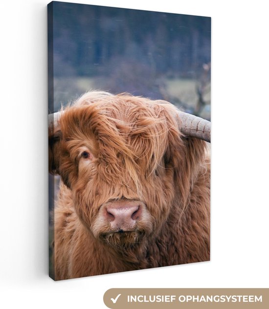 Canvas Schilderij Schotse Hooglander - Koeienkop - Landschap - Natuur ...