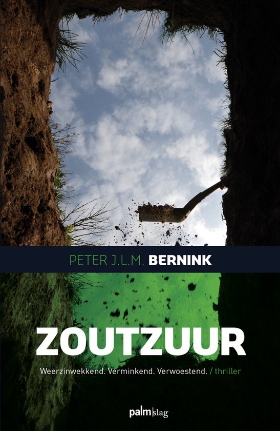 Zoutzuur, Peter J.L.M. Bernink | 9789493059306 | Boeken | bol