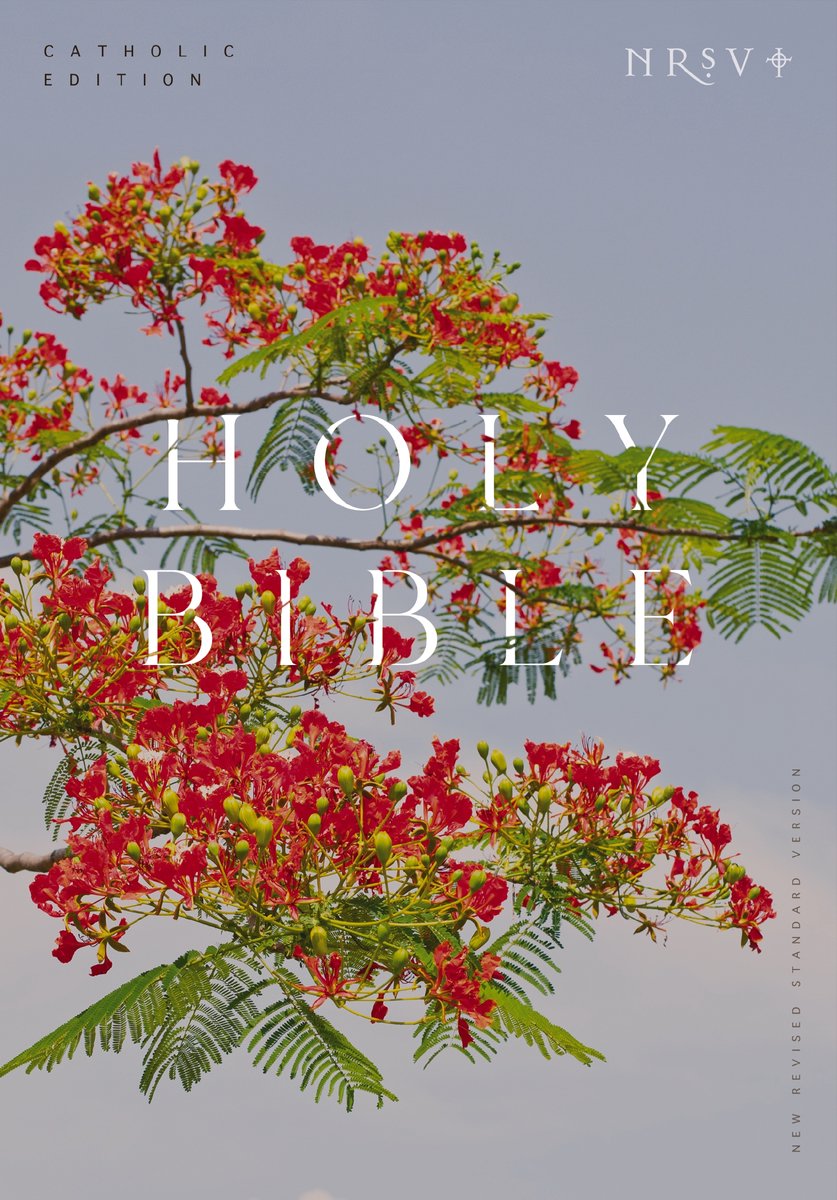 NRSV Catholic Edition Bible, Royal Poinciana Paperback (Global Cover ...