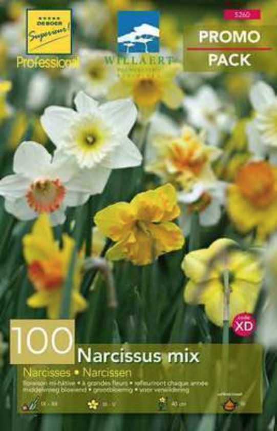 Narcissus gemengd-mix | bol