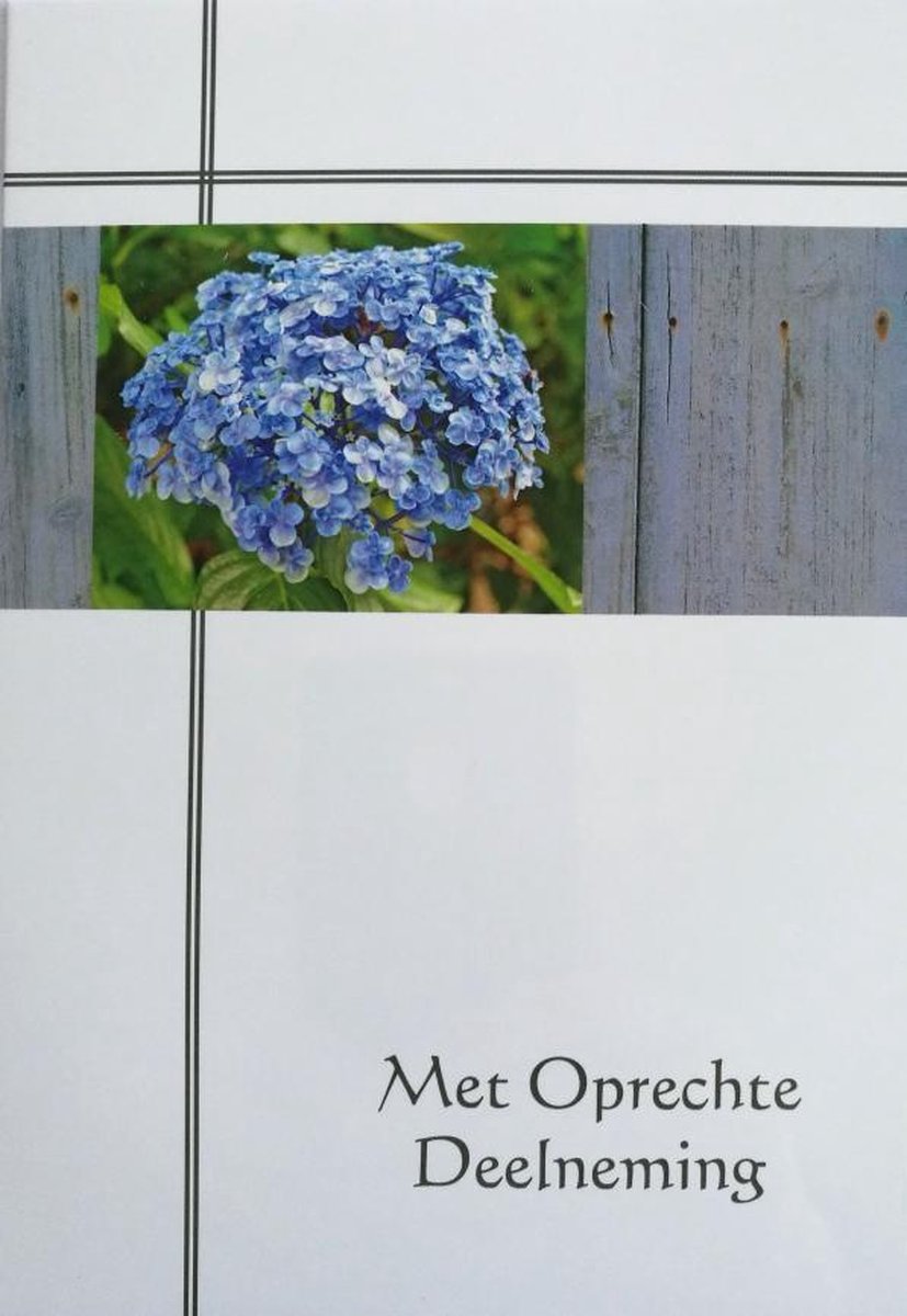 Rouwkaarten Condoleance kaarten Set van 10 L 121 | bol.com