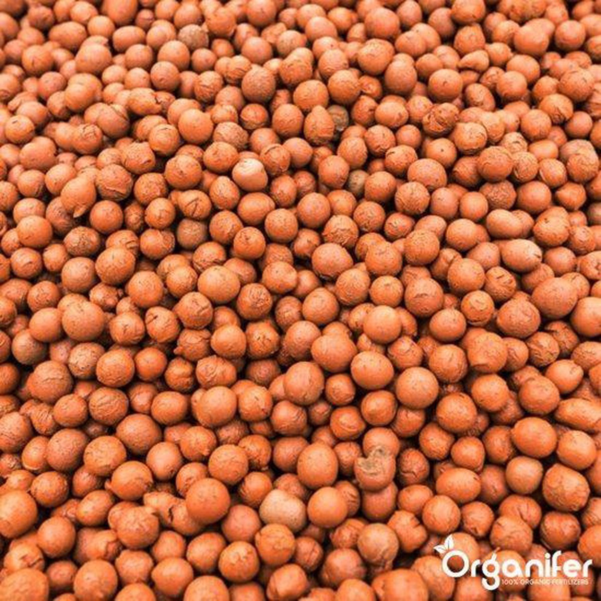 Premium Hydro-granulés 8-16mm (Bigbag 1000L) Organifer | bol.com