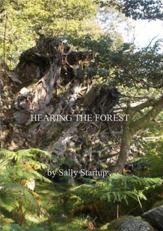 Tree Speaker - Hearing the Forest (ebook), Sally Startup ...