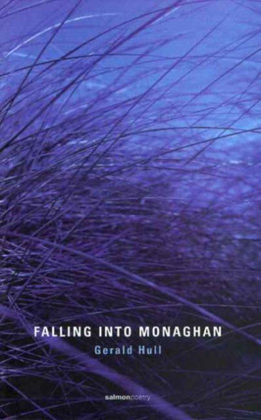 Falling into Monaghan, Gerald Hull | 9781897648537 | Boeken | bol