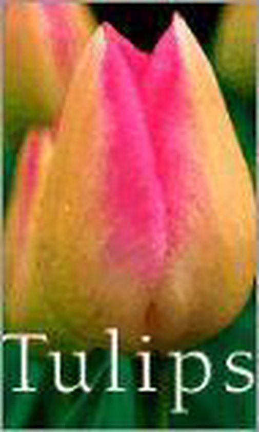 Tulips, Scott D. Appell | 9781567997477 | Boeken | bol.com
