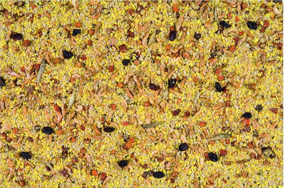 Orlux Eivoer Droog Grote Parkiet/Papegaai 800 Gr | bol.com