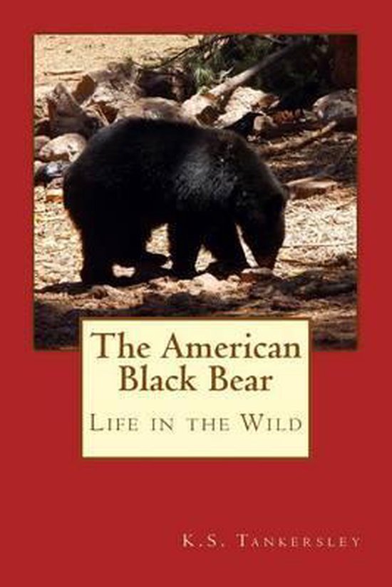 Exploring Nature-The American Black Bear, K S Tankersley ...