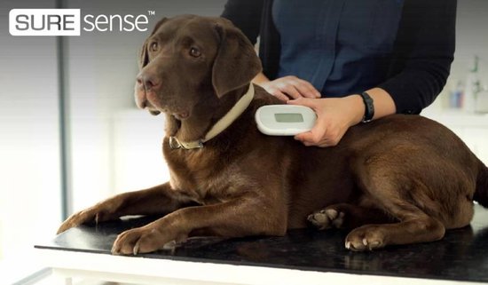 SureSense Microchip Reader | bol