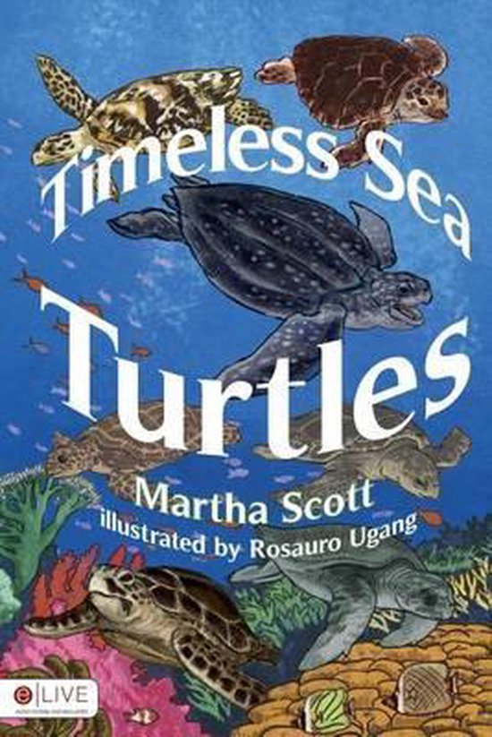 Timeless Sea Turtles, Martha Scott | 9781633064546 | Boeken | bol.com