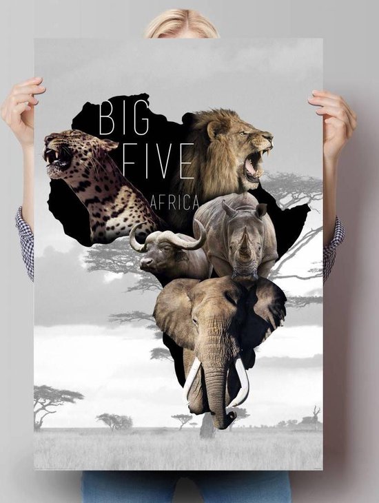REINDERS The Big Five - Poster - 61x91,5cm | bol.com
