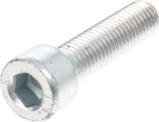 Ergotec Inbusbout Rvs M8 X 35mm Per Stuk | bol
