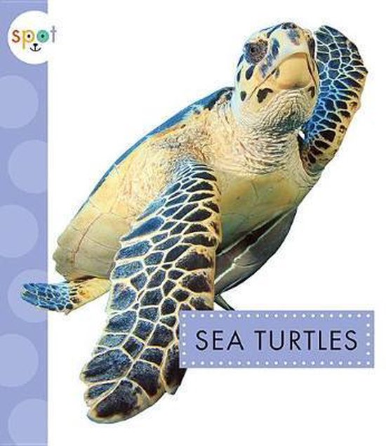 Spot Ocean Animals- Sea Turtles, Mari C Schuh | 9781681513829 | Boeken ...