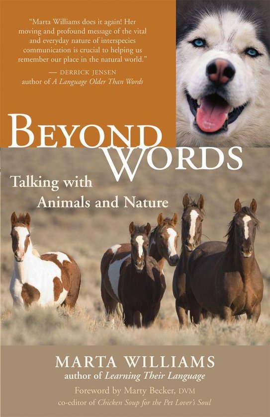 Beyond Words (ebook), Marta Williams | 9781577317166 | Boeken | bol.com