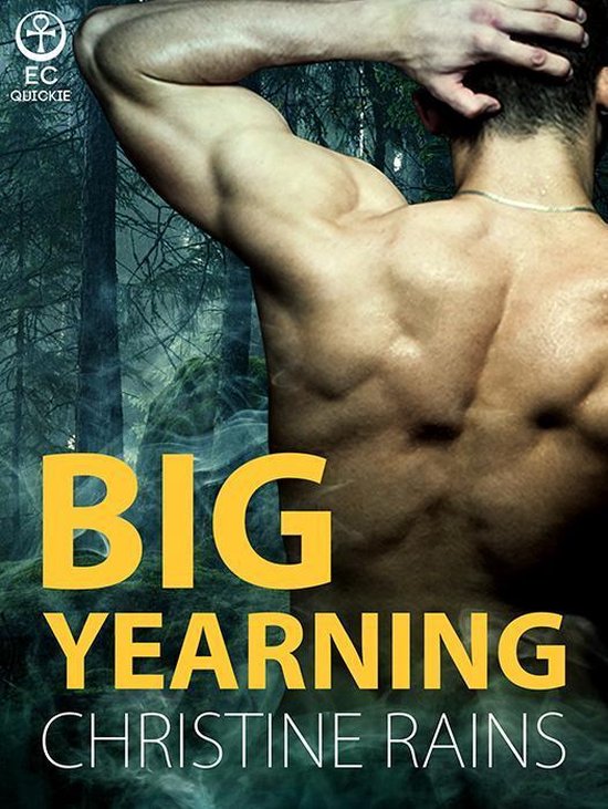 Big Yearning (ebook), Christine Rains | 9781419995033 | Boeken | bol